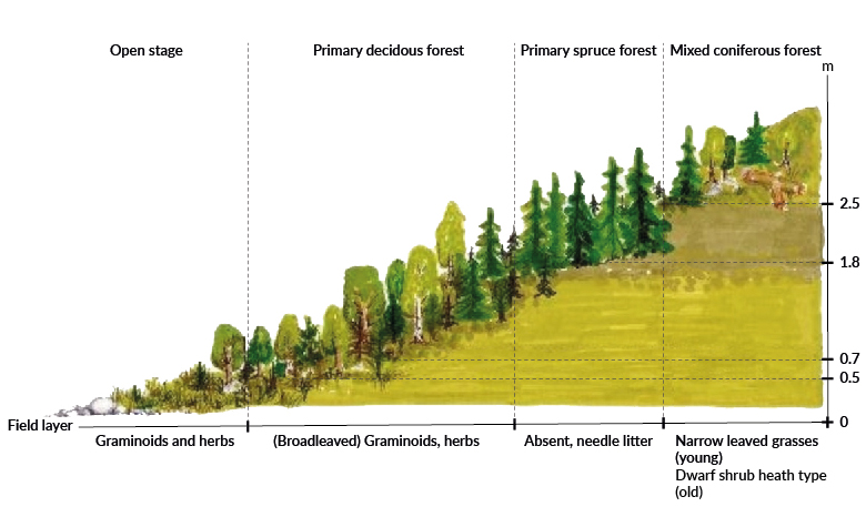 Storymaps - Virtual Museum of Ecosystems