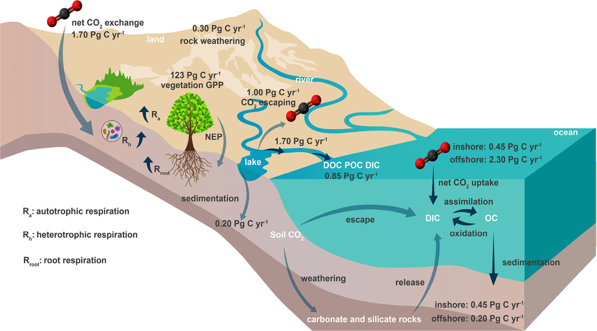 Storymaps - Virtual Museum of Ecosystems